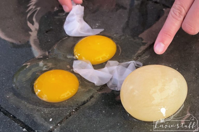 how to make a bouncy egg science experiment for the science fair - we ...